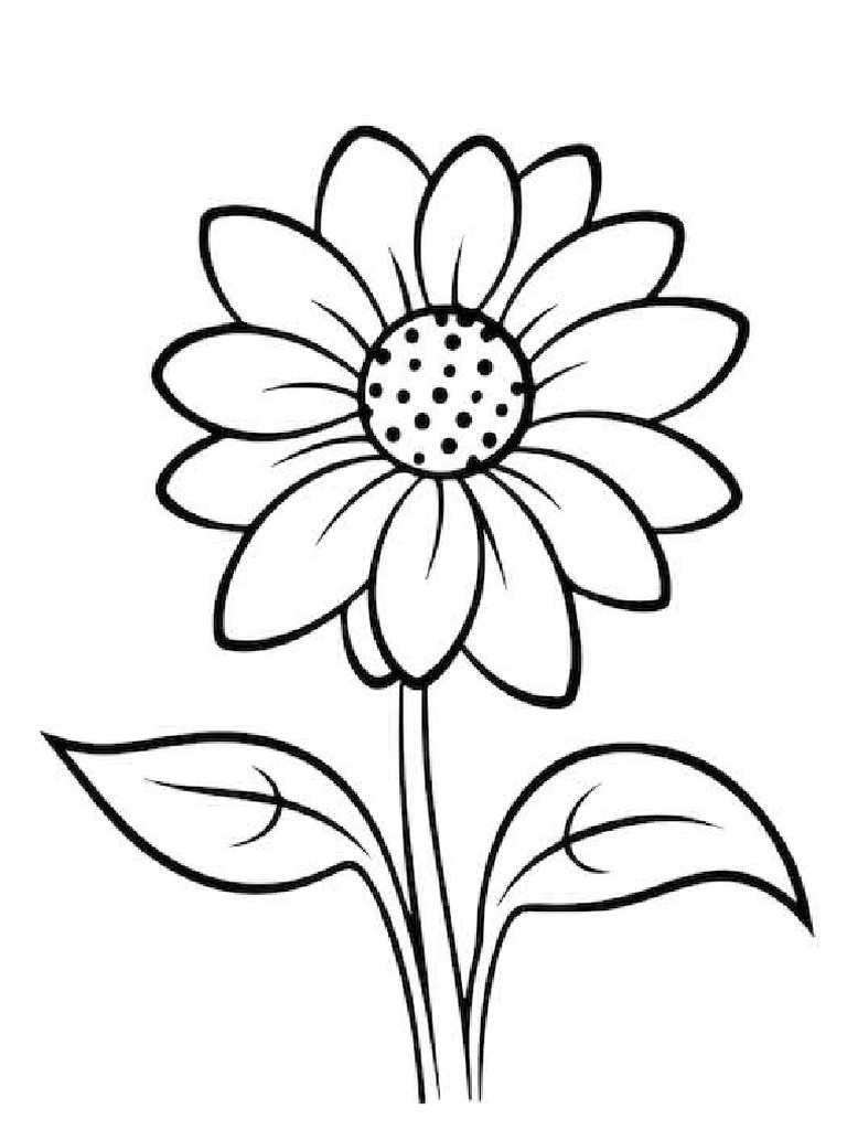Flor Dibujo | PDF