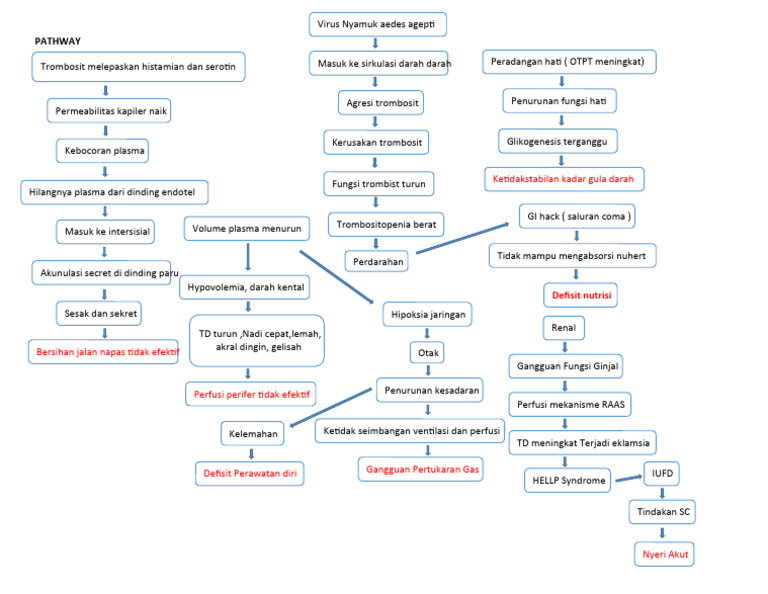 Pathway Pasien Kasus | PDF