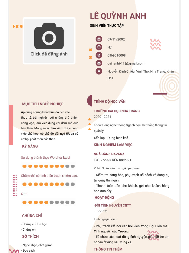 Le Quynh Anh Work247 | PDF