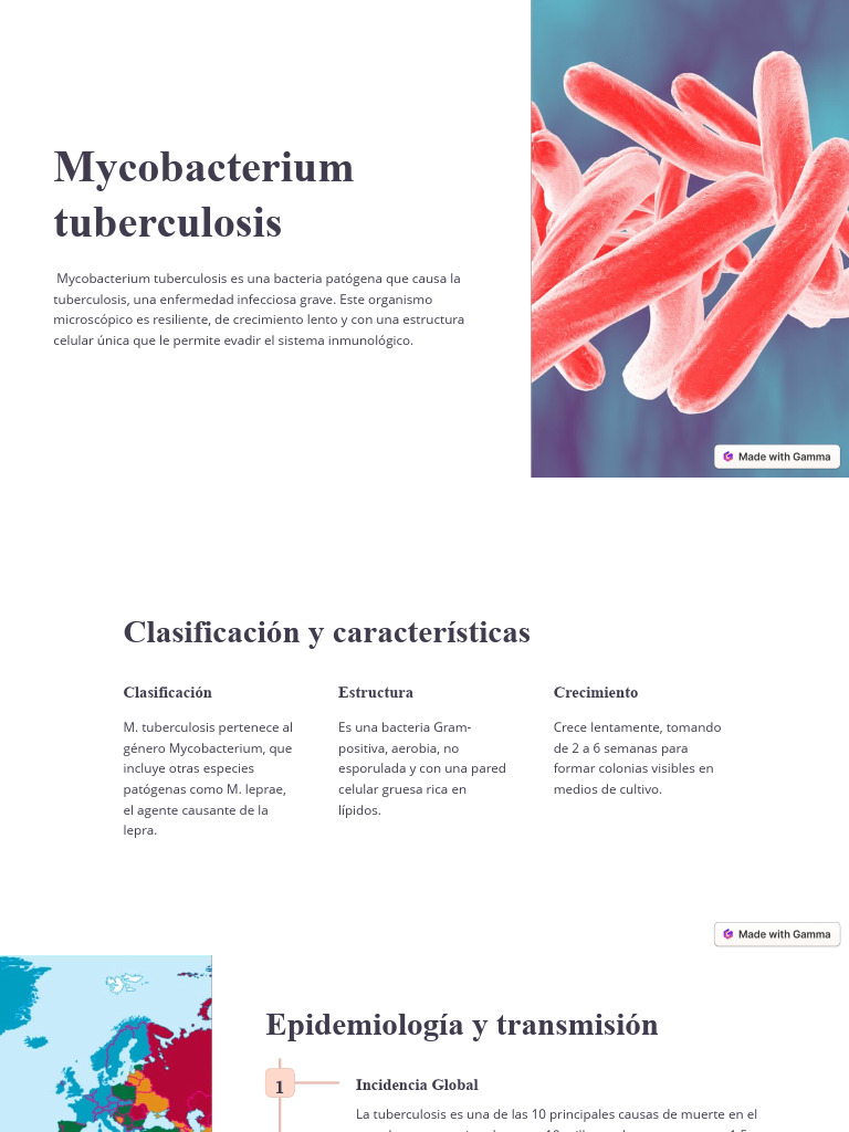 Mycobacterium tuberculosis: Causas y Tratamiento | PDF | Tuberculosis ...