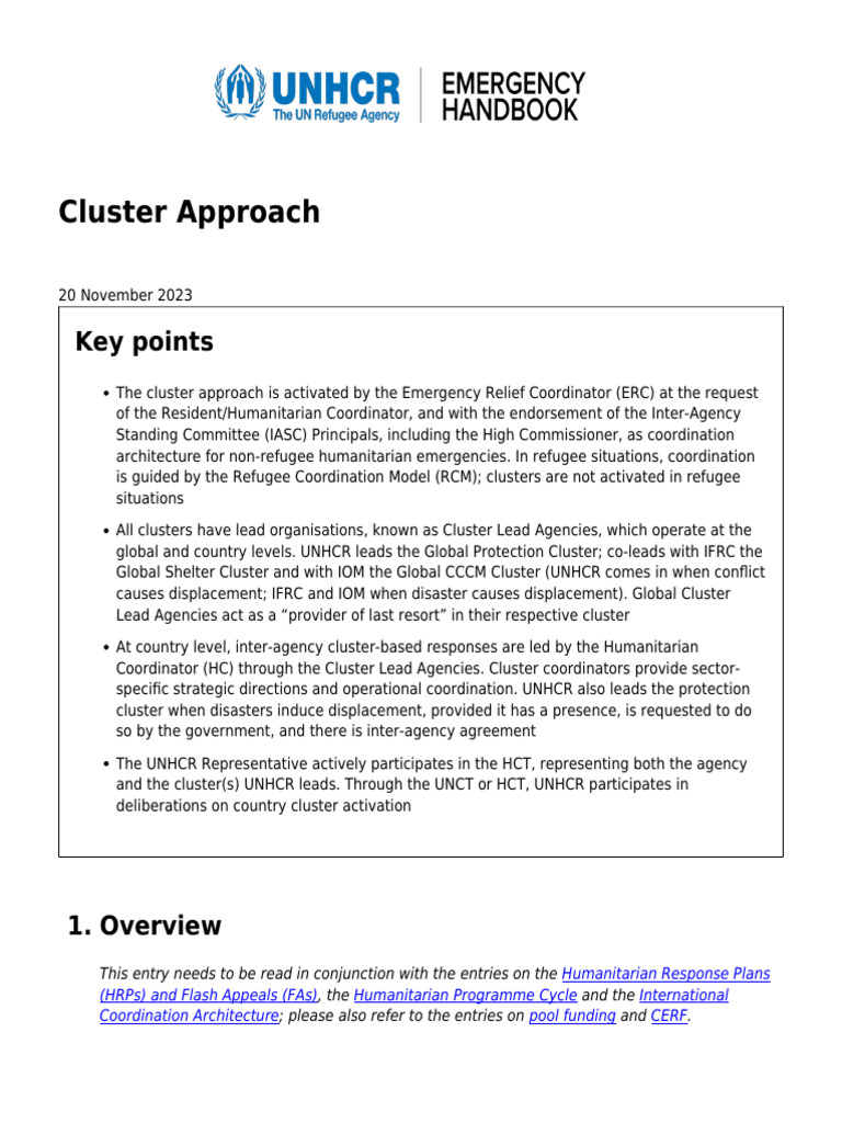 Cluster Approach | PDF | Internally Displaced Person | Humanitarian Aid