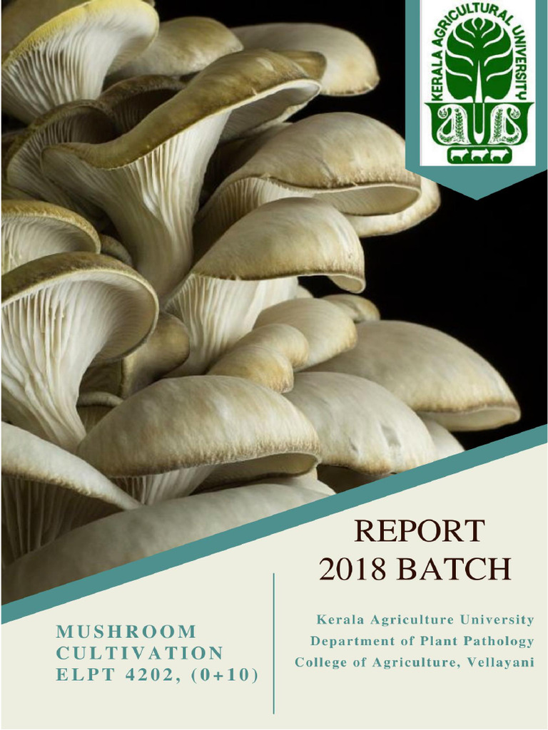 Elpt Report | Download Free PDF | Psilocybin | Mushroom