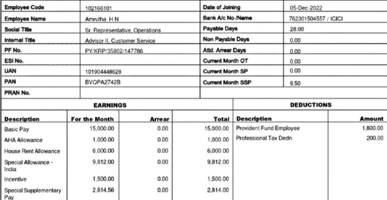 PServices India Private Limited Payslip For The Month of 2 | PDF