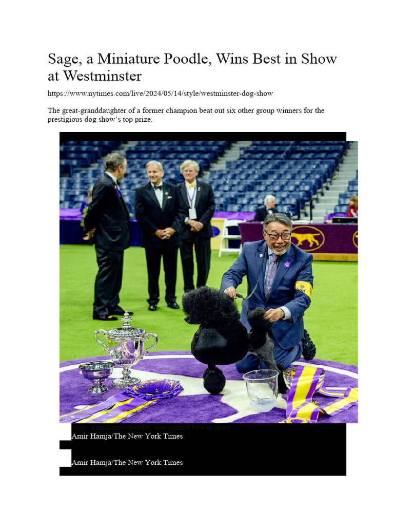 5 Sage, A Miniature Poodle, Wins Best in Show at Westminster | PDF ...