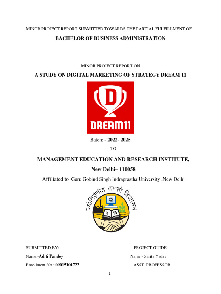 Minor Project Final - 240413 - 125519 | PDF | Digital Marketing ...
