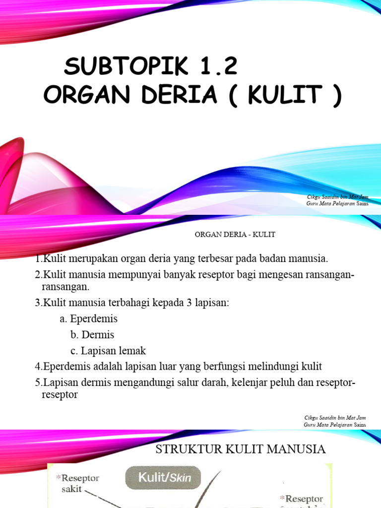 Subtopik 1.2 Kulit (Bah 1) | PDF