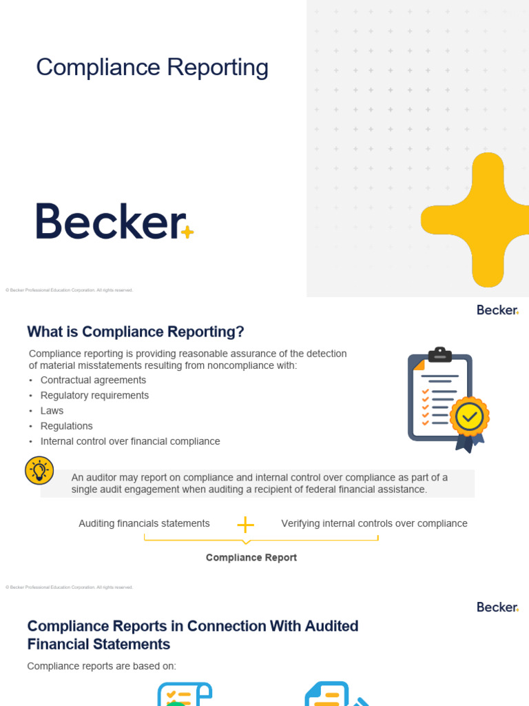 A5 M6 Slides | PDF | Audit | Financial Audit