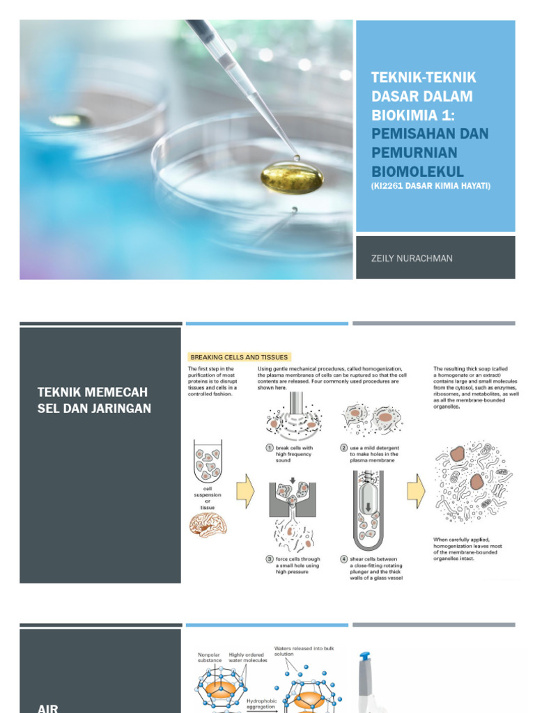 Teknik-Teknik Dasar Dalam Riset Biokimia 1 - Pemisahan Dan Pemurnian Biomolekul | PDF