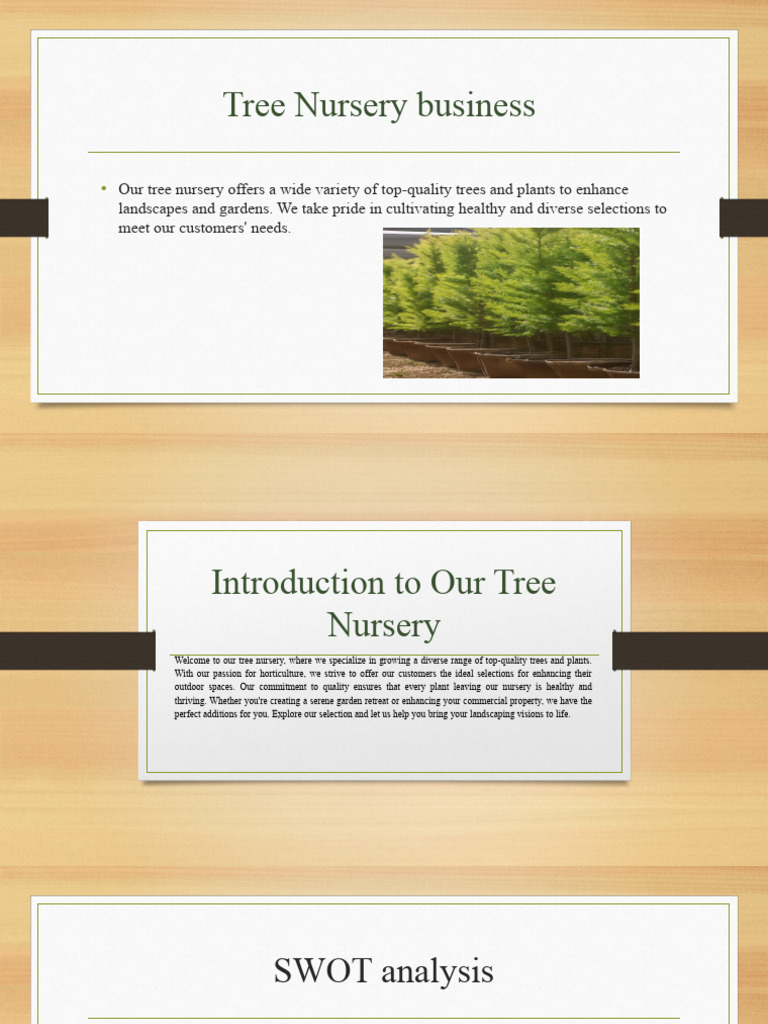 Tree Nursery Business Overview | PDF | Plant Nursery | Trees