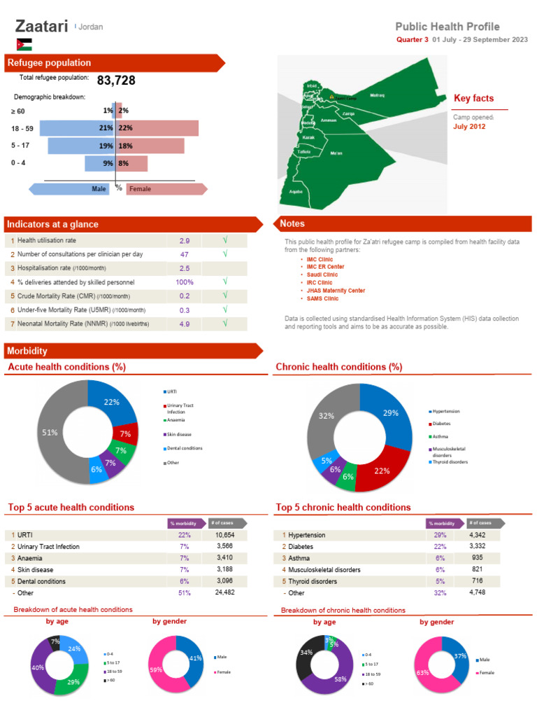 2-Zaatari Health Information System - Profile Report Quarter 3 2023 | PDF | Chronic Condition ...