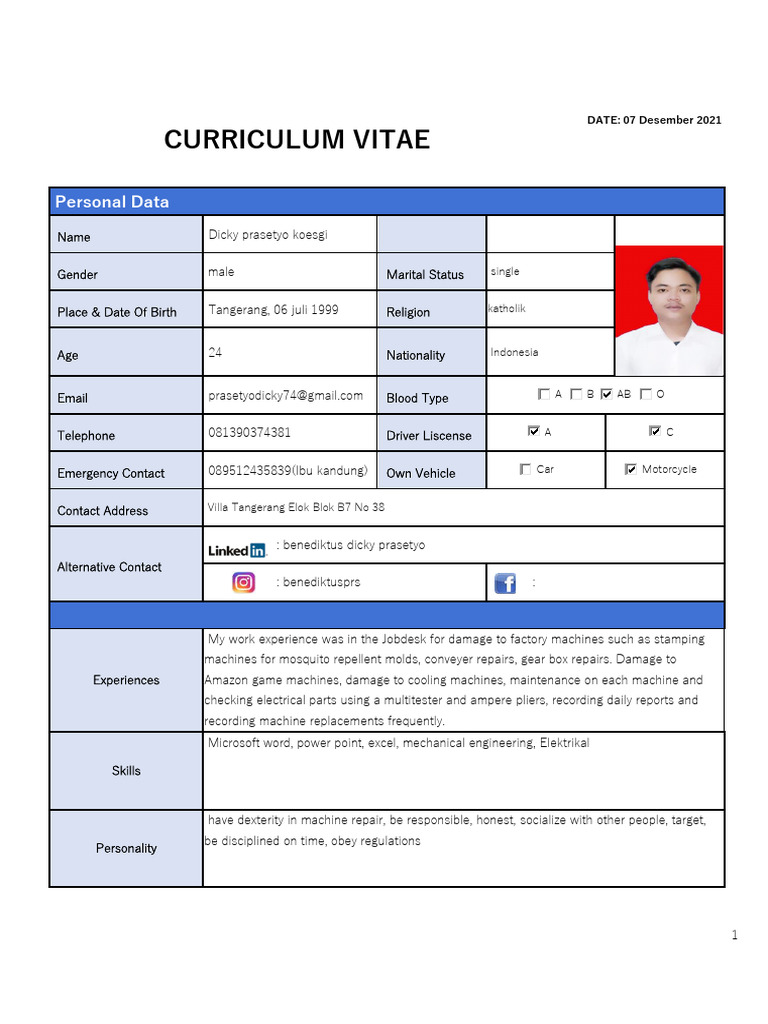 ATS_ Dicky Prasetyo CV | PDF | Machines | Mechanical Engineering