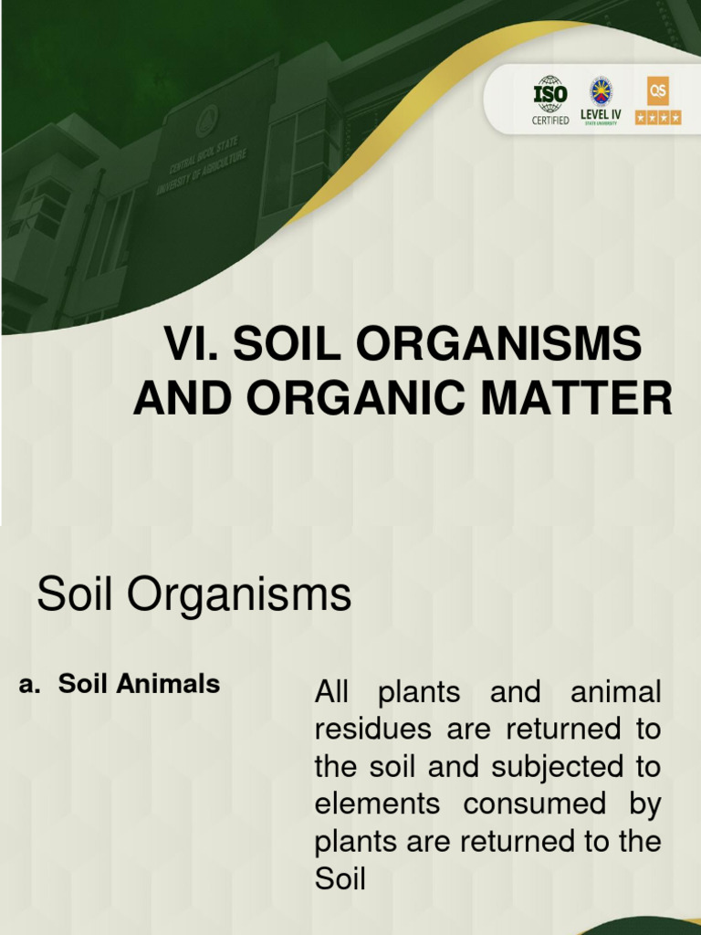 Week 14 Soil Organisms and Organic Matter | PDF | Soil | Decomposition