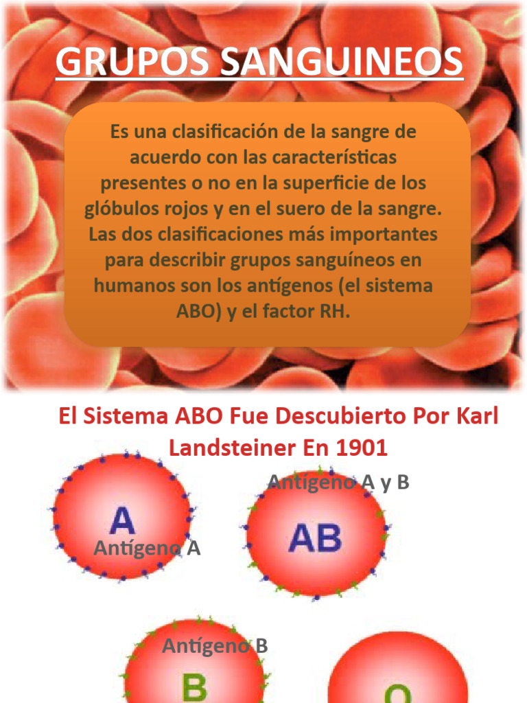 Geneticamedicaexp Grupossanguineos 110425184252 Phpapp02 | PDF | Tipo ...