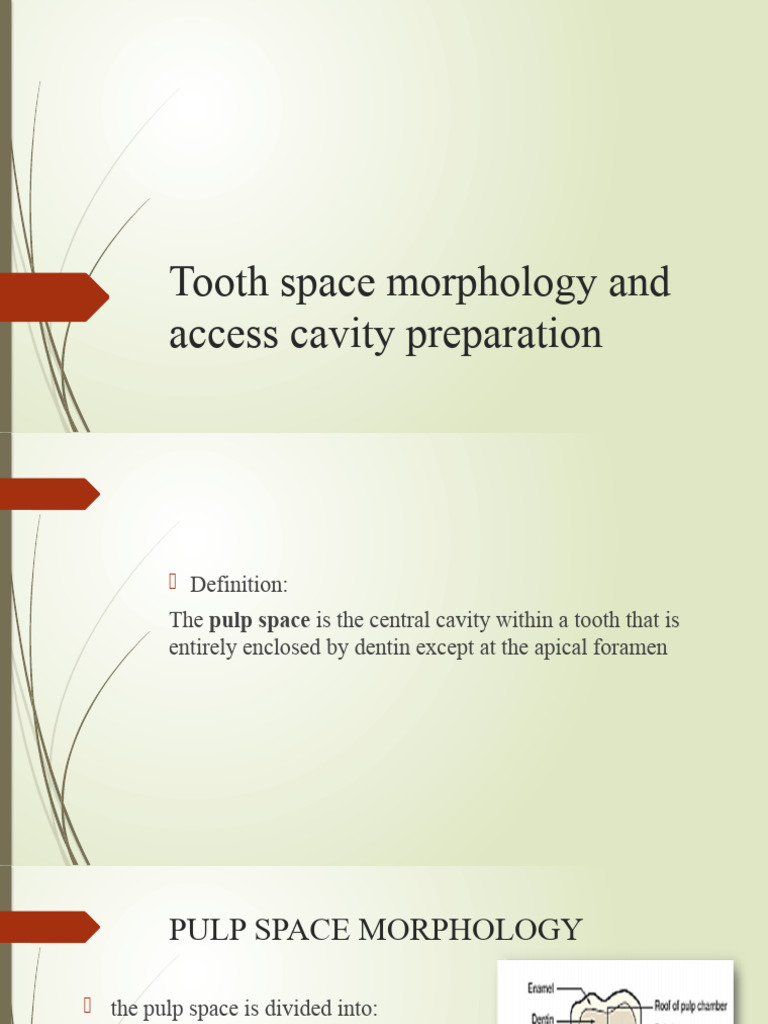 Tooth Space Morphology and Access Cavity Preparation | PDF | Dental ...