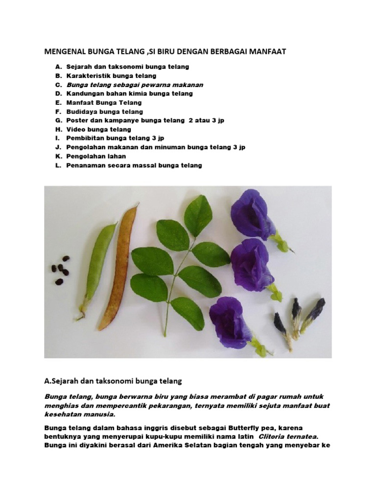 Mengenal Bunga Telang | PDF