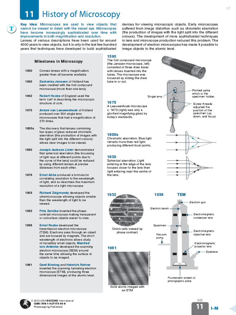11 - History of Micros | PDF | Microscope | Transmission Electron Microscopy