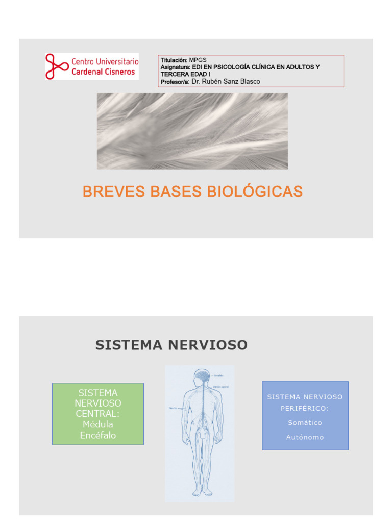 4 Bases Biologicas | PDF | Las emociones | Sistema límbico