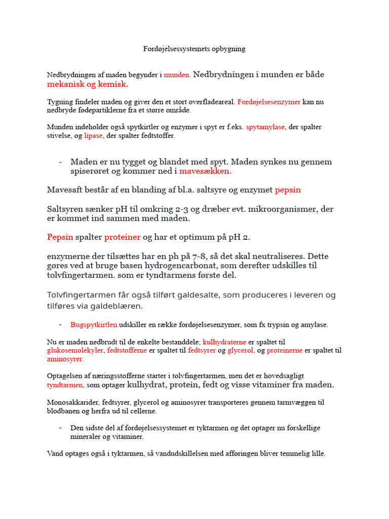 Fordøjelsessystemets Opbygning | PDF