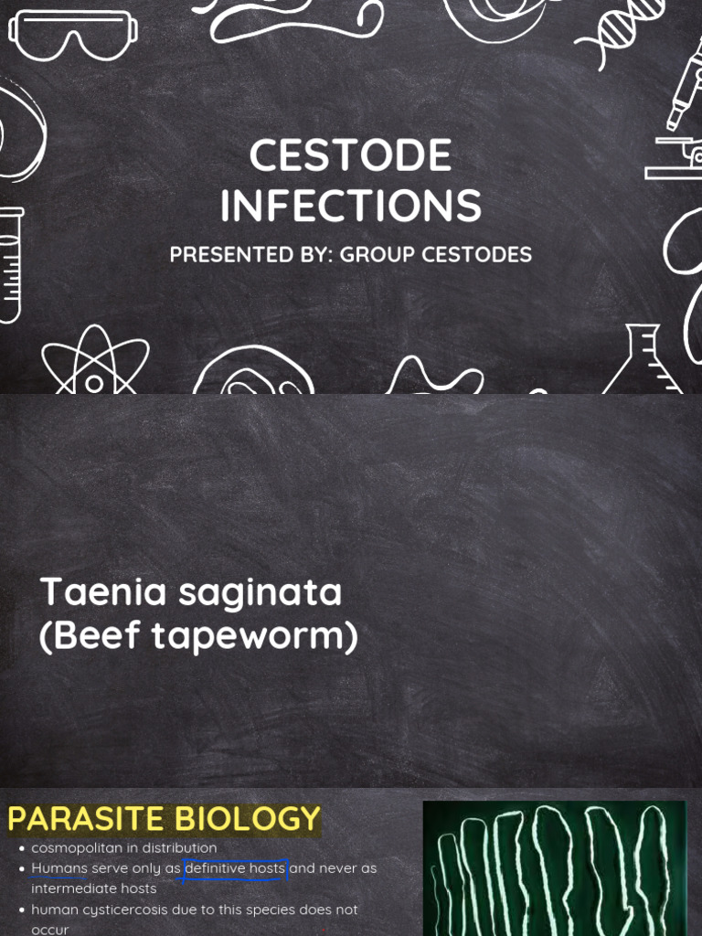 Cestodes Report | PDF | Medical Specialties | Diseases And Disorders