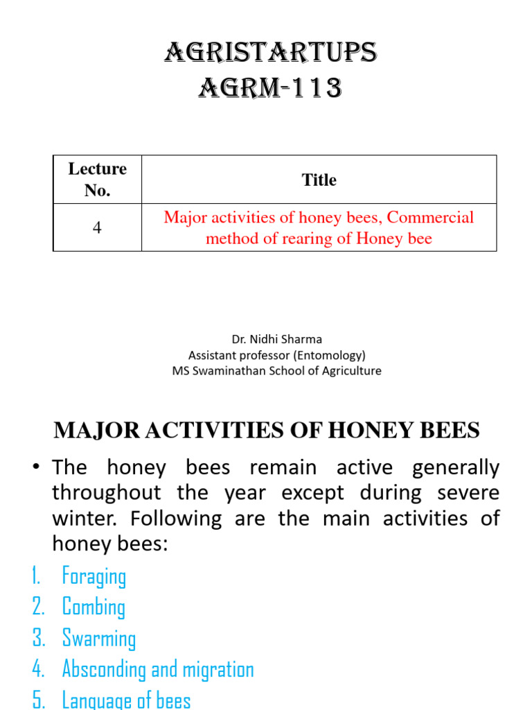 Major Activities of Honey Bee | PDF | Honey Bee | Beehive
