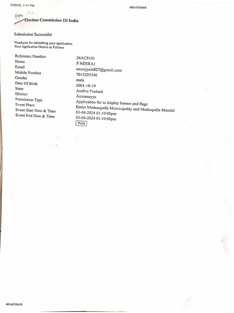 Application For Display Banner and Flags | PDF