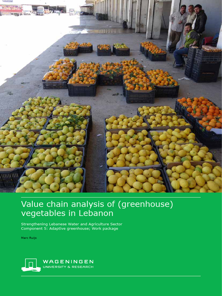 Value Chain Analysis of Greenhouse Vegetables in - Wageningen ...