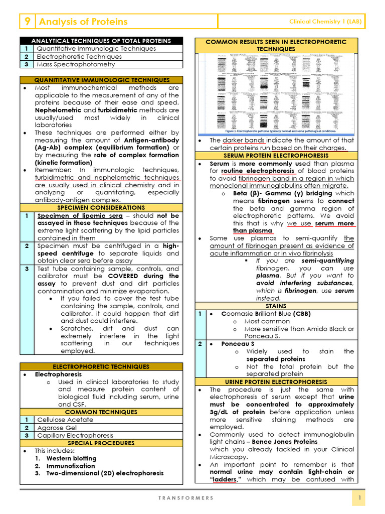 m9-m10 Cc1 Lab With Quiz (M12org) | PDF | Proteins | Chemistry