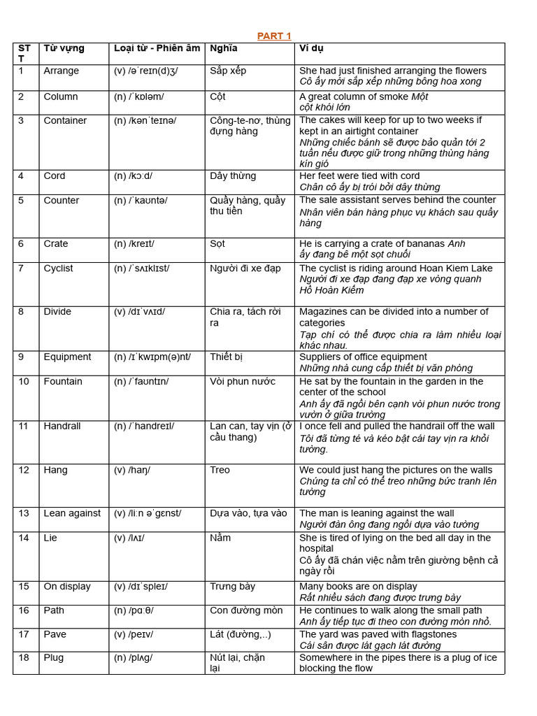 ST T T V NG Lo I T - Phiên Âm Nghĩa Ví D | PDF