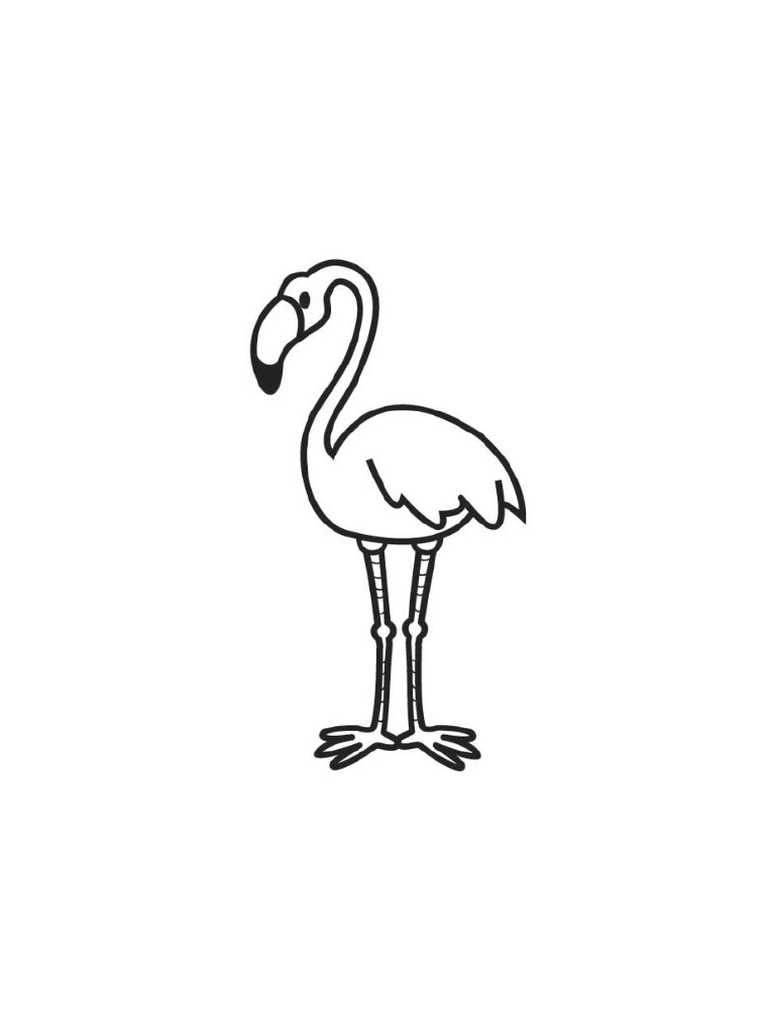 Flamingo | PDF