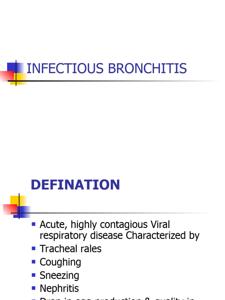 Infectious Bronchitis | PDF | Health Sciences | Animal Virology