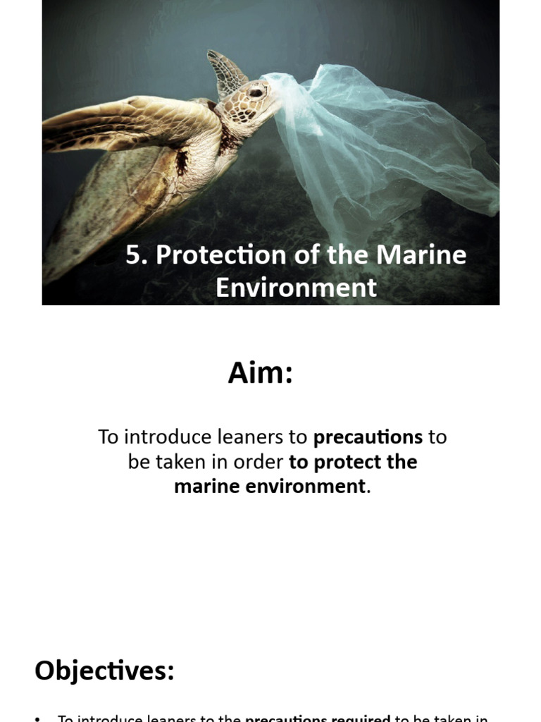 05 Marine Environment | PDF | Pollution | Ships