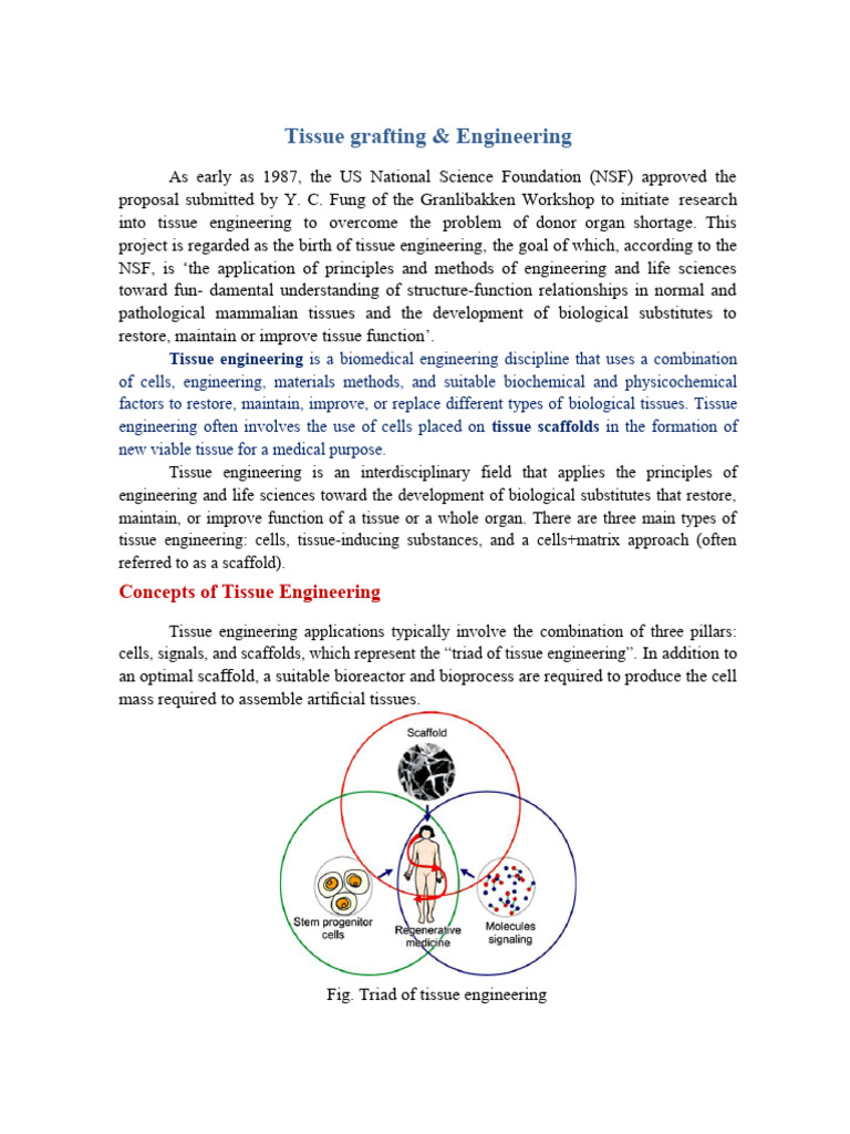 Overview of Tissue Engineering Techniques | PDF | Tissue Engineering ...
