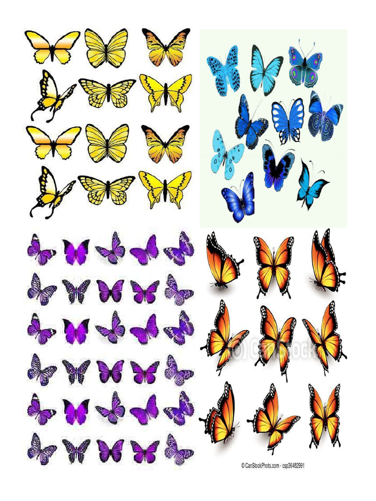 Butterflies Ss Sssssssss | PDF
