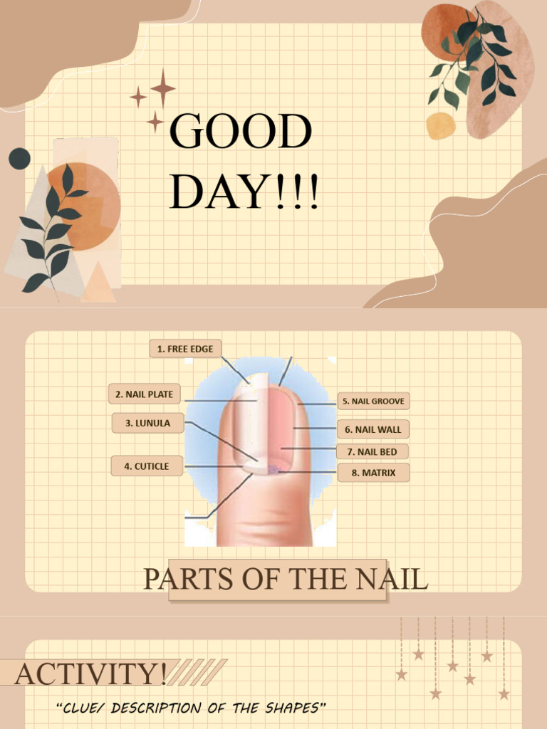 Cot Powerpoint | Download Free PDF | Nail (Anatomy)