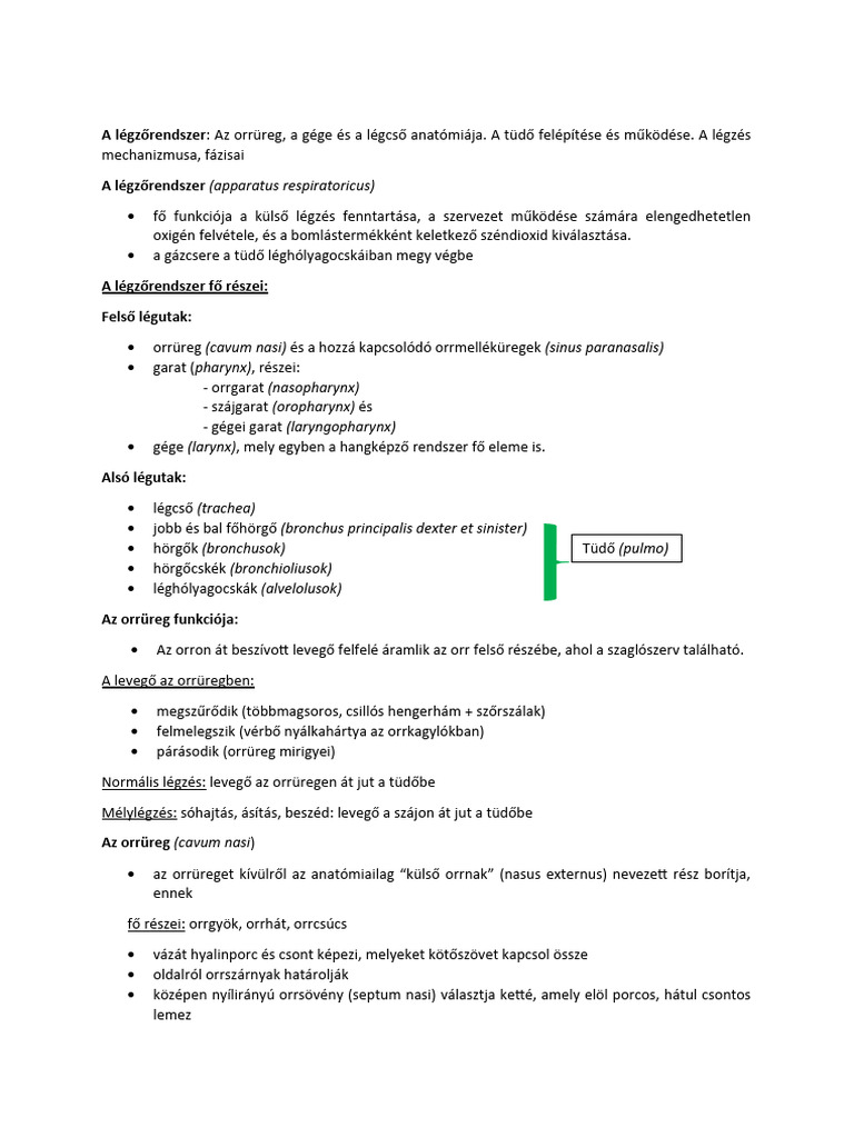 Anat 2 Jegyzet | PDF