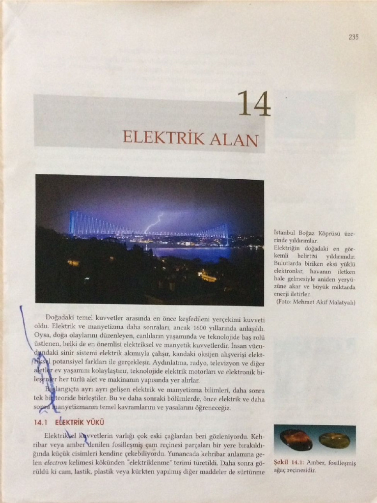 Elektrik Alan | PDF