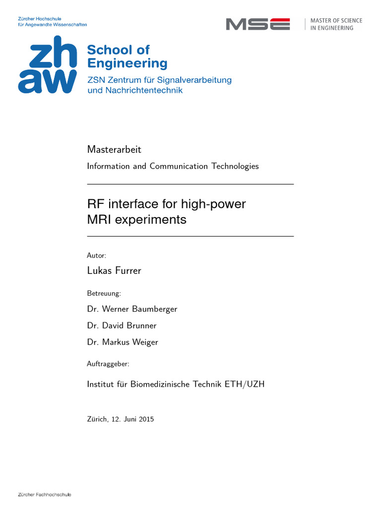 Masterarbeit Lukas Furrer | PDF