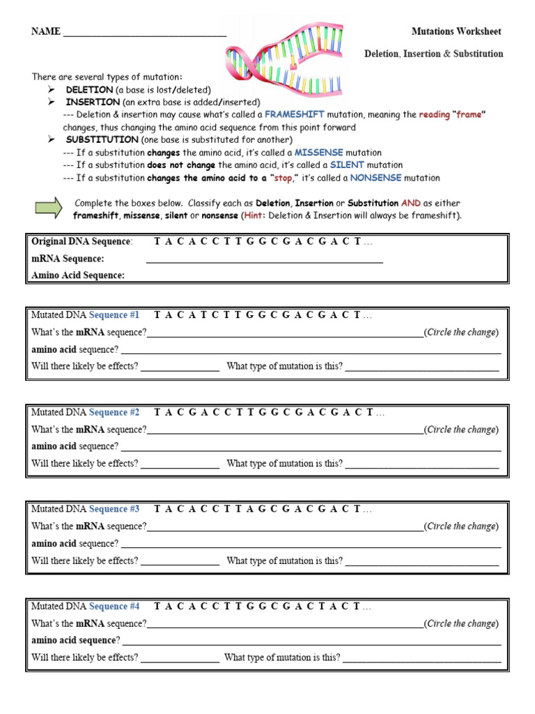 AA3_Worksheet on Mutations | PDF | Point Mutation | Mutation