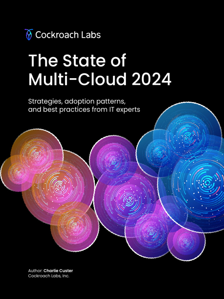 the-state-of-multi-cloud | PDF | Cloud Computing | Information Technology