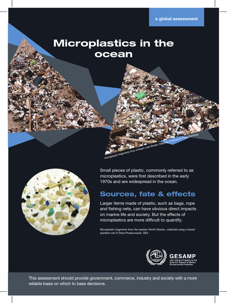 Microplastics in the Ocean - A Global Assessment | PDF | Plastic ...