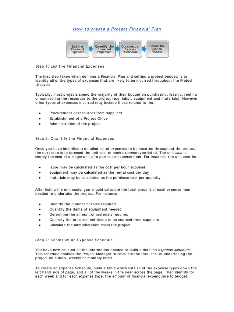 Project Financial Plan | Download Free PDF | Expense | Budget