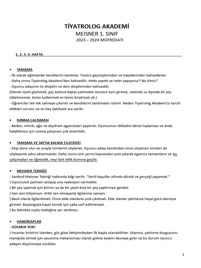 Meisner 1. Sinif 2 Aylik Program | PDF