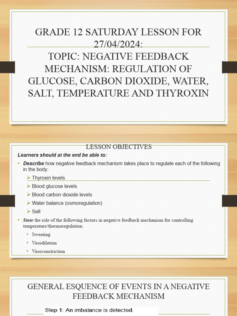 Grade 12 Saturday Lesson For 27 April 2024 | PDF
