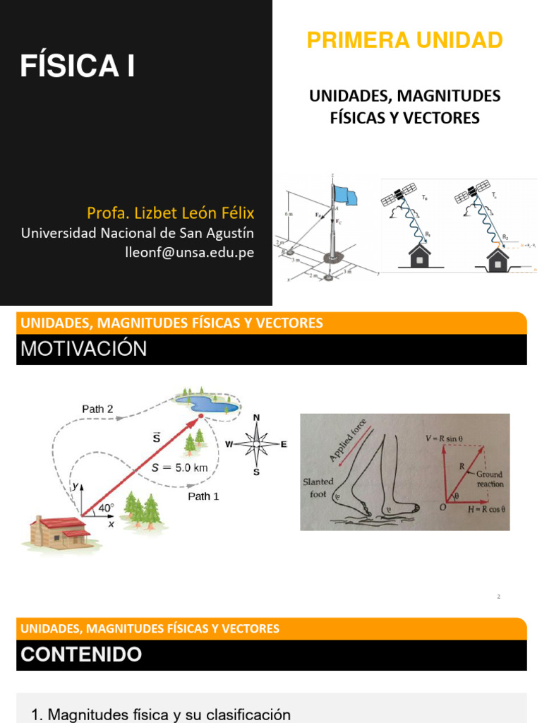 (1llf) Unidades, Magnitudes Físicas y Vectores | PDF | Vector Euclidiano | Masa