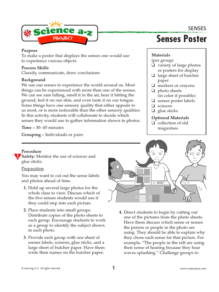 Senses Poster Project Guide | PDF | Senses | Neuroscience