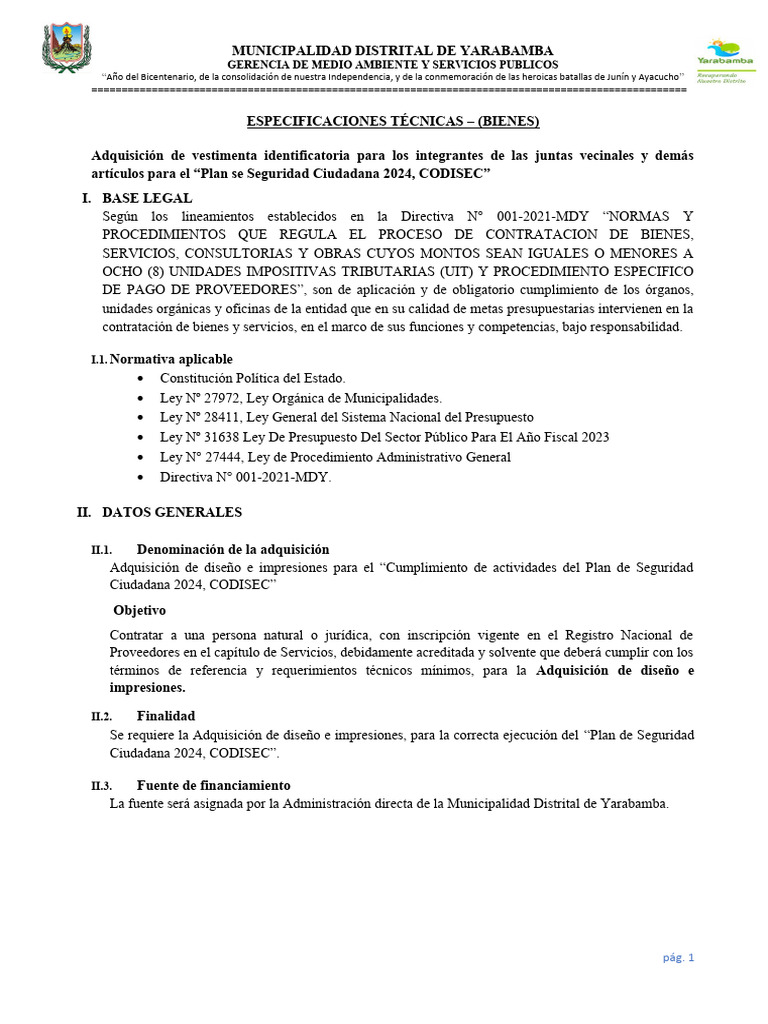 TDR EPPS Serenazgo | PDF | Impresora (Computación) | Presupuesto