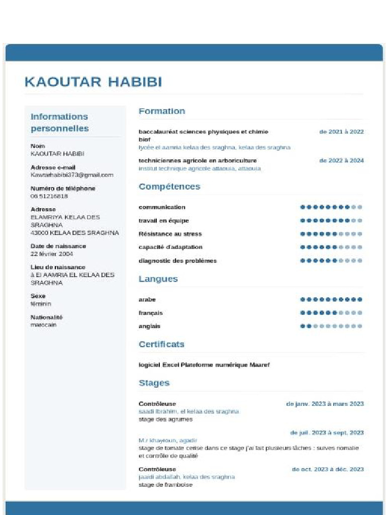 Cv Kaoutar | PDF Cv Kaoutar | PDF