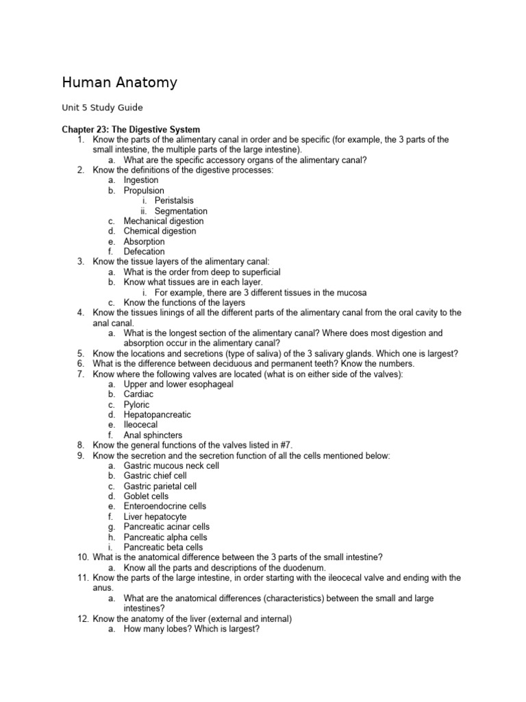 Digestive, Urinary, and Reproductive Anatomy Guide | PDF | Liver | Kidney
