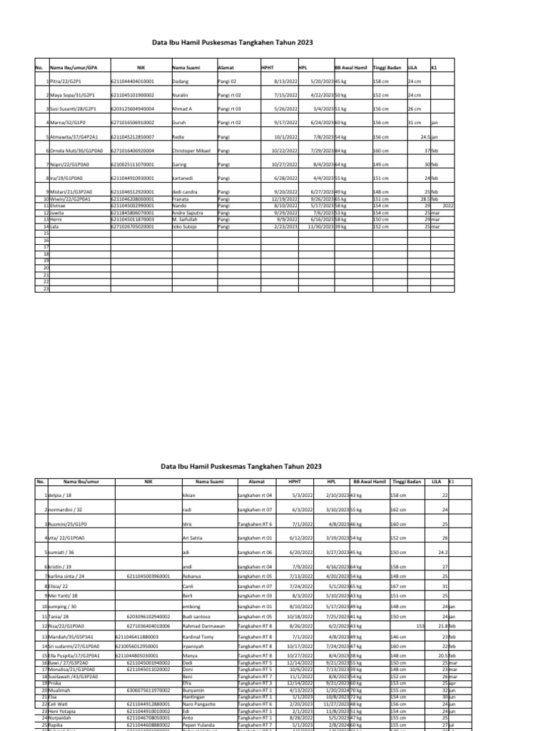 Data Bumil 2023 | PDF