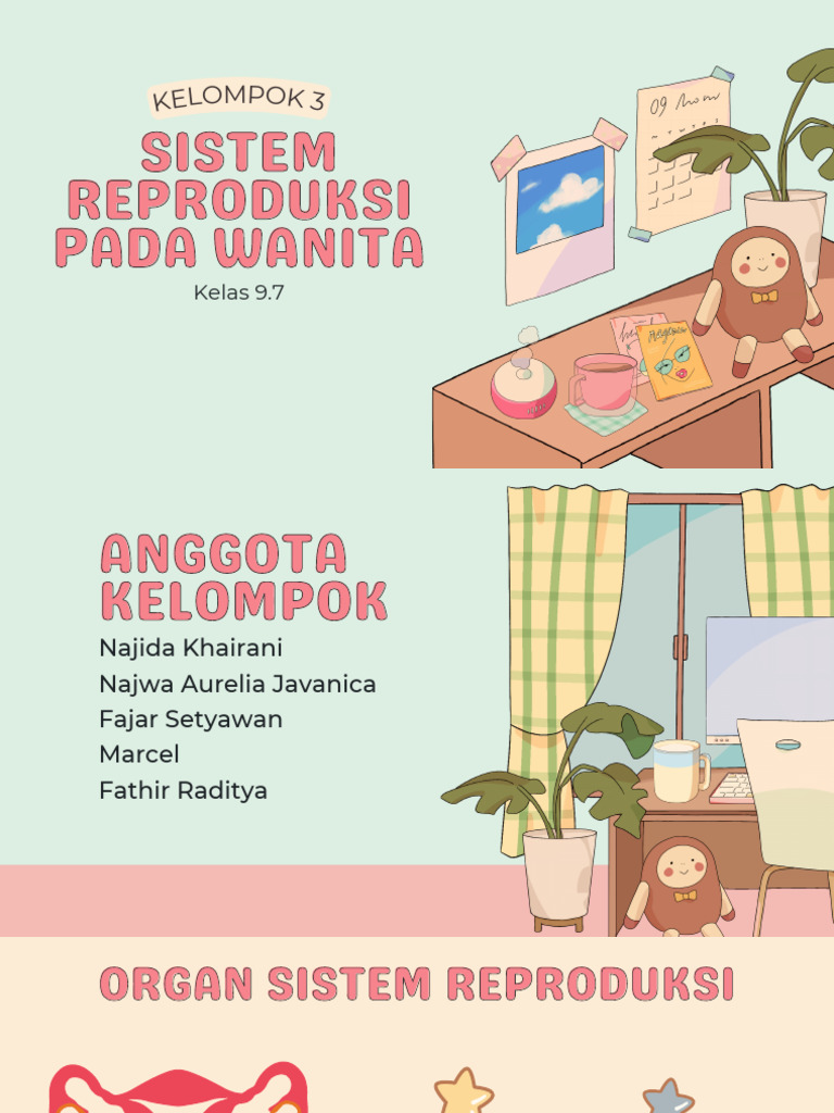 Sistem Reproduksi Perempuan | PDF